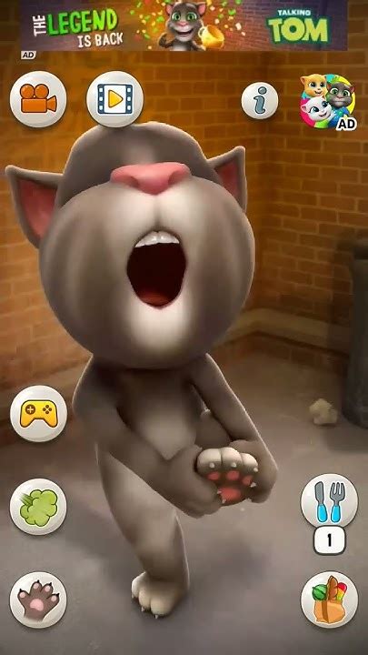 Funny Talking Tom Cat Shorts Youtube