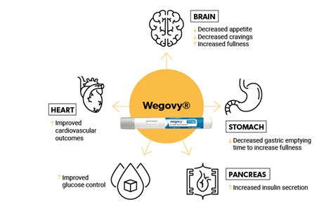 Wegovy Semaglutide Prescribed Injection For Effective Weight Loss