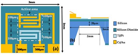 Schematic View A Top And B Cross Section Of The Proposed Mems