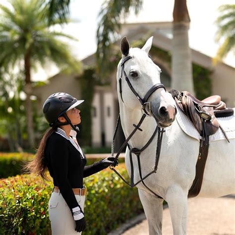 Tack Tips For Hunter And Jumper Classes Lumiere Equestrian Au