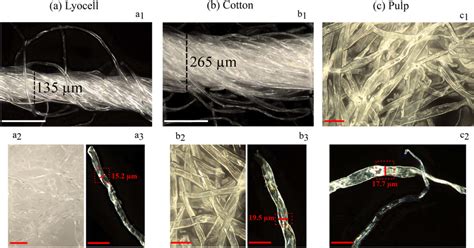 Cellulose Sources Images Taken Using An Infinitefocus Microscope The