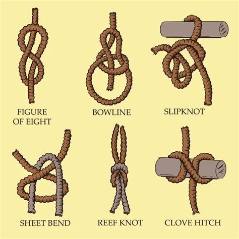 239 Reef Knot Vector Images Free And Royalty Free Reef Knot Vectors
