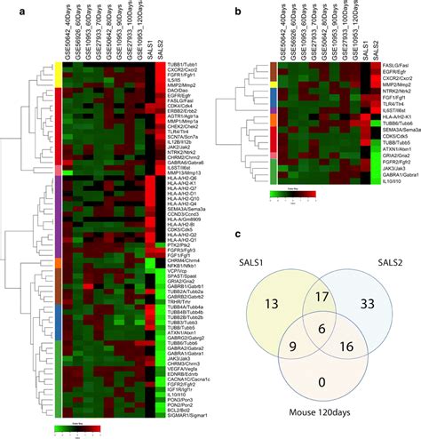 Meta Analysis Of Gene Expression Profiles Of Sod1g93a Mice And Sals
