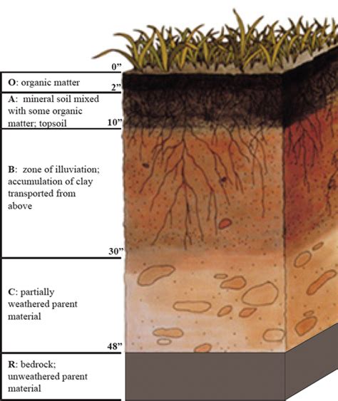 Types Of Soil And Soil Texture