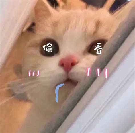 可爱表情包 高清图片，堆糖，美图壁纸兴趣社区