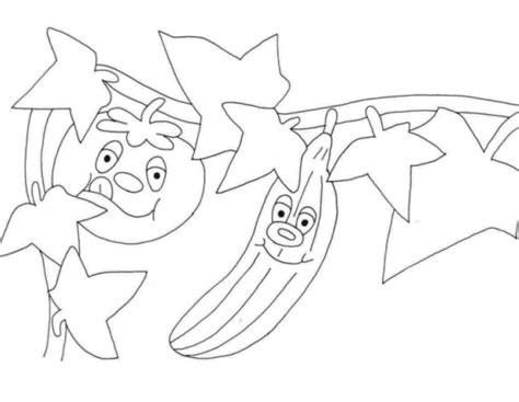 Disegni Per Bambini Orto Fare Di Una Mosca