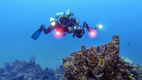 Diving Saba Tourism