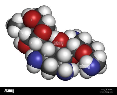 Gentamicin Antibiotic Drug Aminoglycoside Class Chemical Structure Atoms Are Represented As