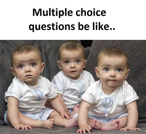 Fun Multiple Choice Exam Meme