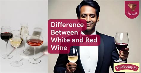 Differences Between White Wine And Red Wine True Buddy