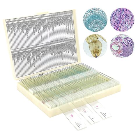 Celestron Profesional Lcd Digital Microscope Ii Bundle Rev Comps