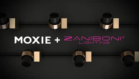 Zaniboni Lighting On Linkedin Zaniboni Lighting Partners With Moxie