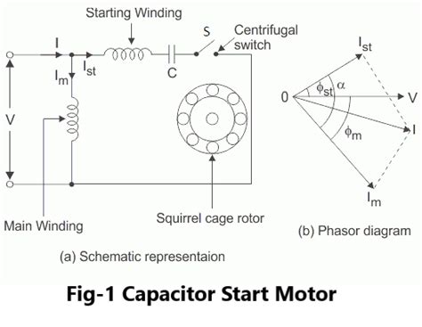 Capacitor Start And Capacitor Start Capacitor Run Induction Motor