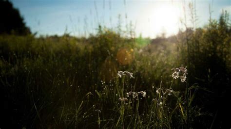 How Strong Is Plexiglass Understanding Its Strength And Durability