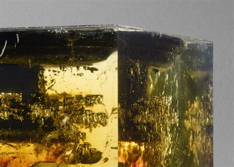 Nucleo Traps Thonet Chair In Resin For Ammann Gallery