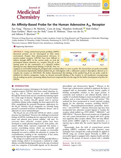 Pdf An Affinity Based Probe For The Human Adenosine A2a Receptor