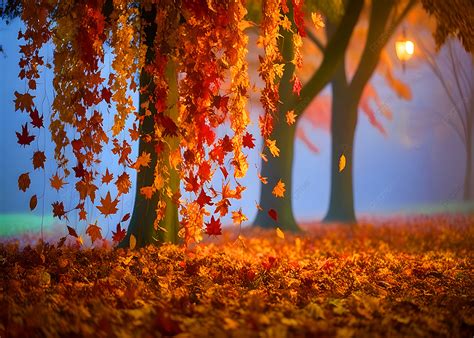 Autumn Season Background Autumn Leaf Colorful Background Image And