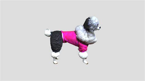 Fashion Pooch Download Free 3d Model By Technikole Meetwo [1f77e19