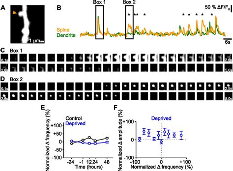 figures and data in homeostatic regulation through strengthening of