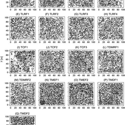 The Spatial Distribution Of The Individual Trees In Each Forest