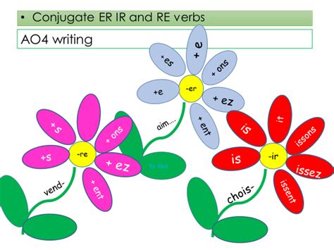 Diagram Of 4 Conjugate A Regular Verb In The Present Tense Quizlet