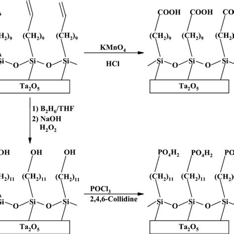 Representation Of The In Situ Modification Procedure Of The 10 Utcs Sam Download Scientific