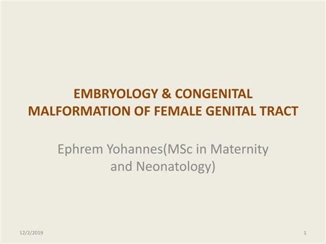 Development Of The Female Reproductive System Pptx