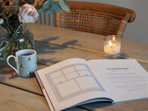 Top 10 Modern Kitchen Window Ideas Rose Collection Kitchen Windows