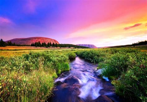 Grass Field Trees River Sunset Wallpapers Grass Field