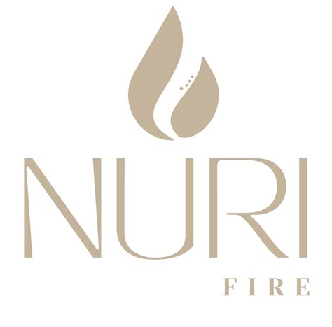 Bioethanol Burner Inserts Nuri Fire