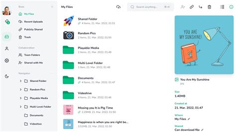 how to install vue file manager on cpanel easy step by step guide