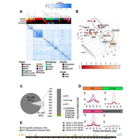 Comparative Analysis Of Aec Enhancers With Roadmap And Encode