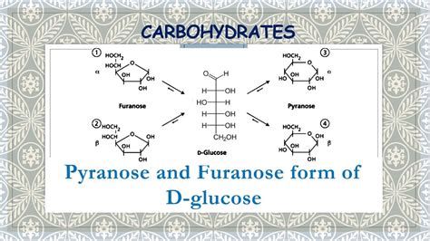 Pyranose Vs Furanose
