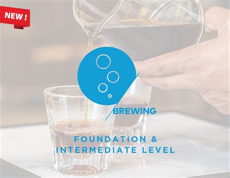 Brewing Sca Refill Roastery Llc