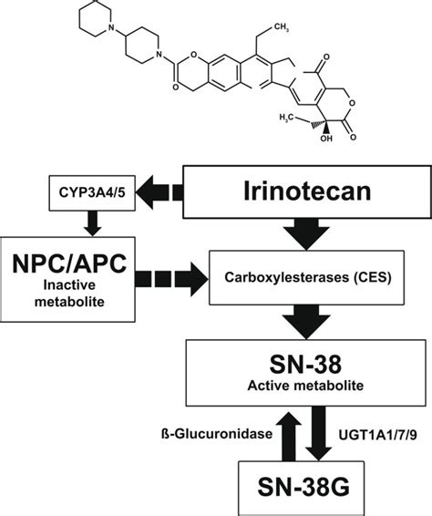 Liposomal Irinotecan Onivyde Exemplifying The Benefits Of