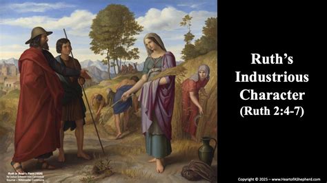 Ruth A Testimony Of Sovereignty And Providence Ruth 1 2 From The