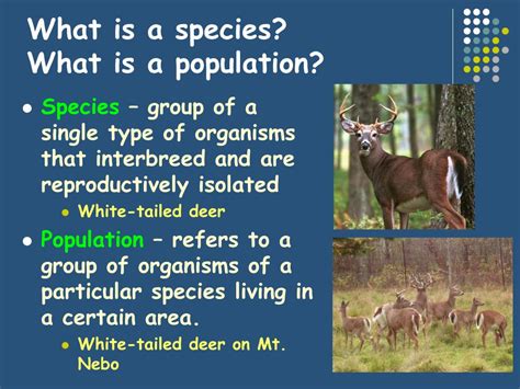 Ppt Lamarck Vs Darwin Powerpoint Presentation Free Download Id