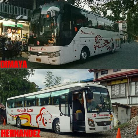 To Prevent Confusion About The Pj Bus Photography