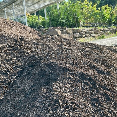 Bulk Sweet Peet Compost Full Scoop Our Online Store Lancaster Greenhouse And New Leaf Market