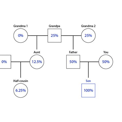 What Is A Half Sibling