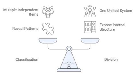 Classification And Division Essay Differences And Writing
