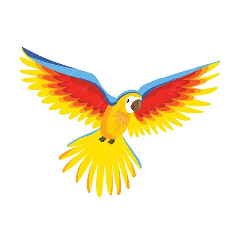 Premium Vector Vector Illustration Of Parrot