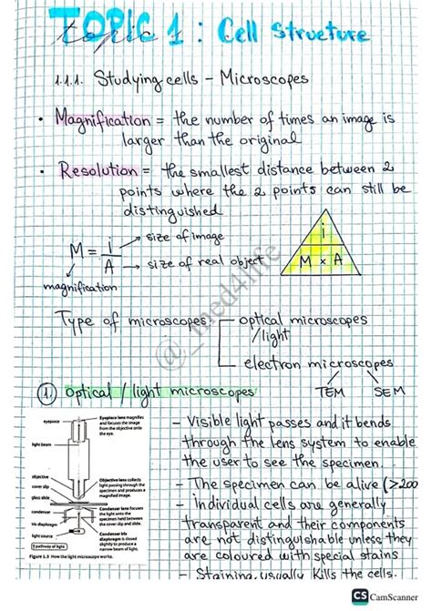 9700 Caie As Level A Level Biology Cell Structure Notes Cambridge A Level Biology 9700 9700