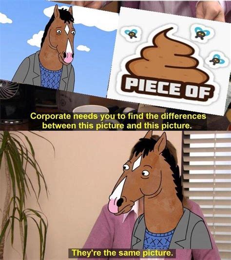 Bojack Horseman Theyre The Same Picture Know Your Meme