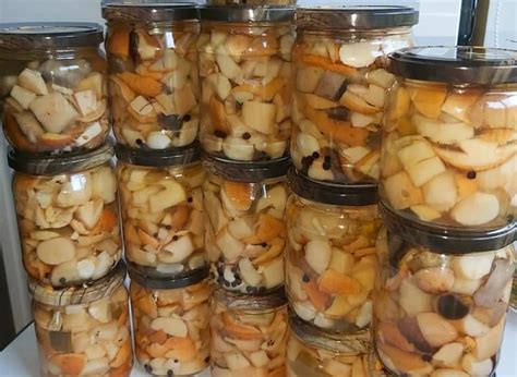 Laiks Konservēt Marinētas Bekas Baravikas Un Gailenes