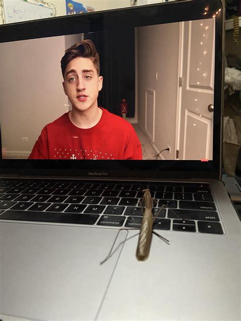 My Praying Mantis Loved Danny And He Just Died So Im Posting This To Honor Him R Dannygonzalez