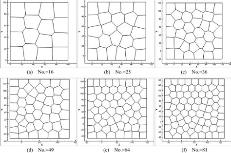 Cell Topology And Morphology Case 4 Download Scientific Diagram