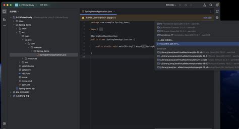 Javaspring 어플리케이션 실행