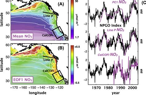Temporal And Spatial Variability Of Subsurface Nitrate No3 A Mean