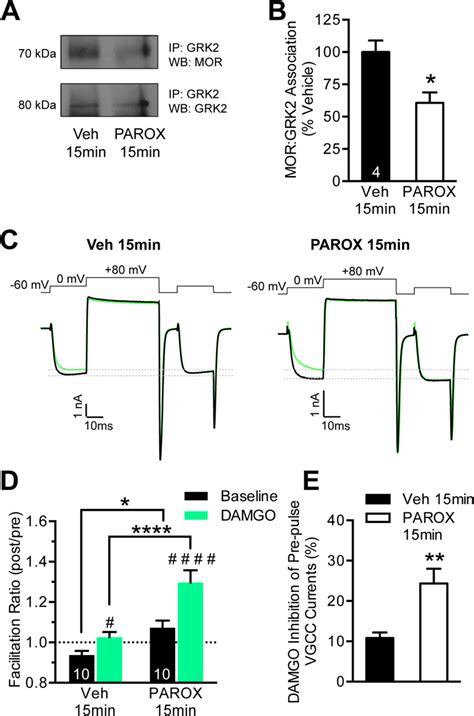 Grk2 Dictates A Functional Switch Of Peripheral Mu Opioid Receptor Pmc